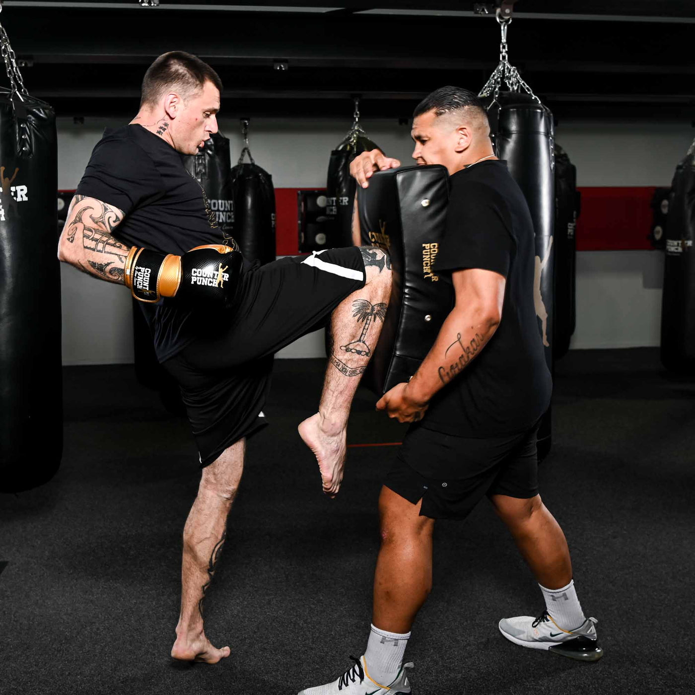 Counterpunch Boxing by Shane Cameron