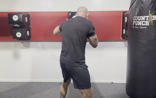 Wall-Mounted Accuracy Boxing Bag - counterpunch.co.nz
