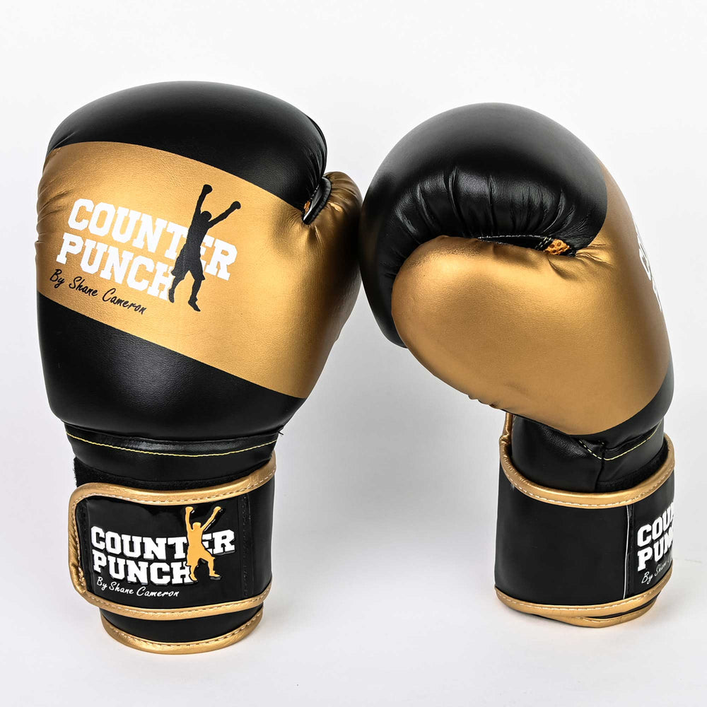 Counterpunch Boxing by Shane Cameron